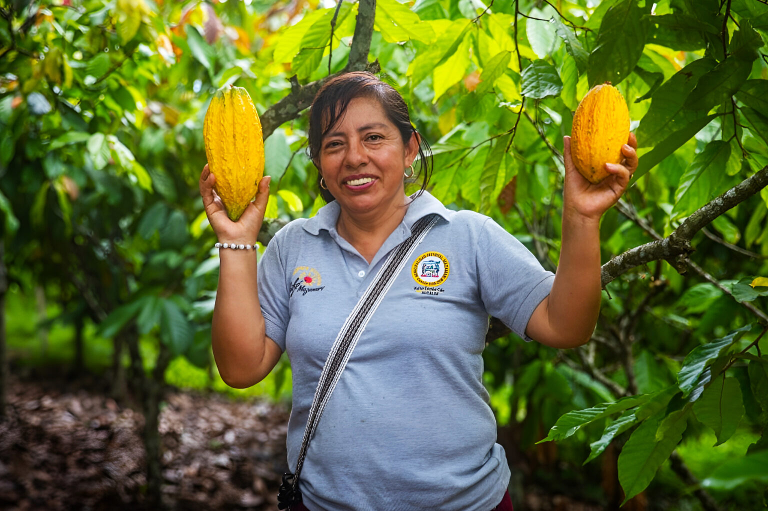 SERVICIOS – Pochari